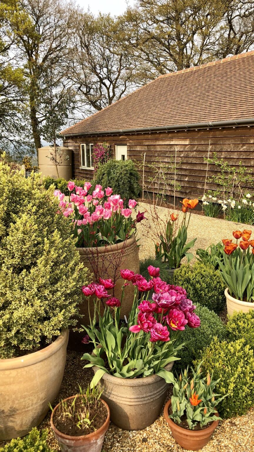 Country Garden – Landscape Design and Garden Project Management Surrey