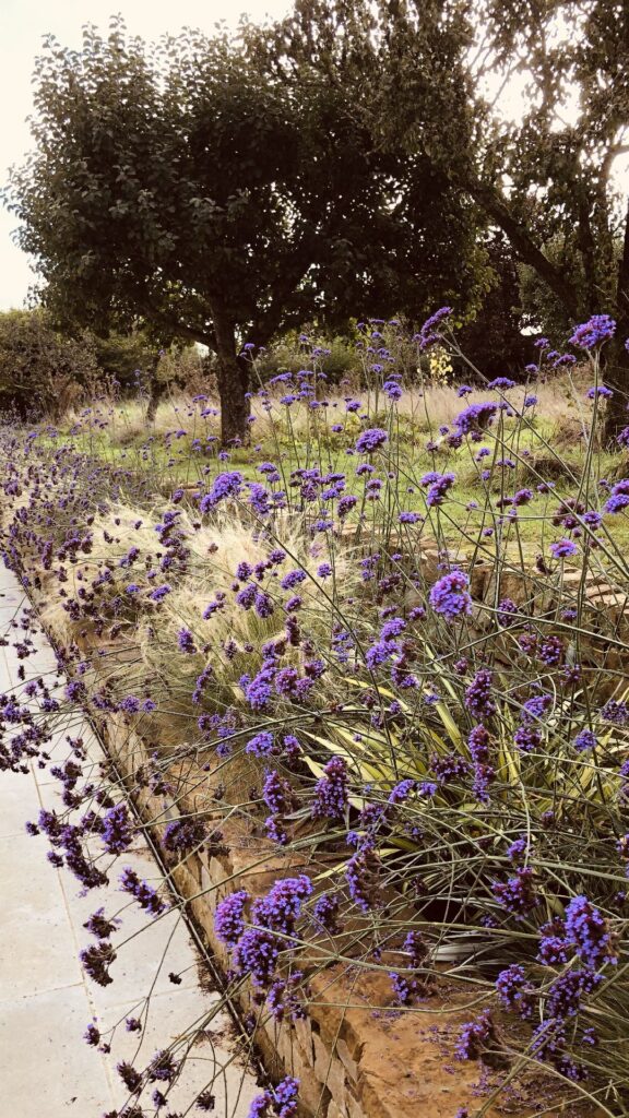 Plant Sourcing & Design – Landscape Design and Garden Project ...