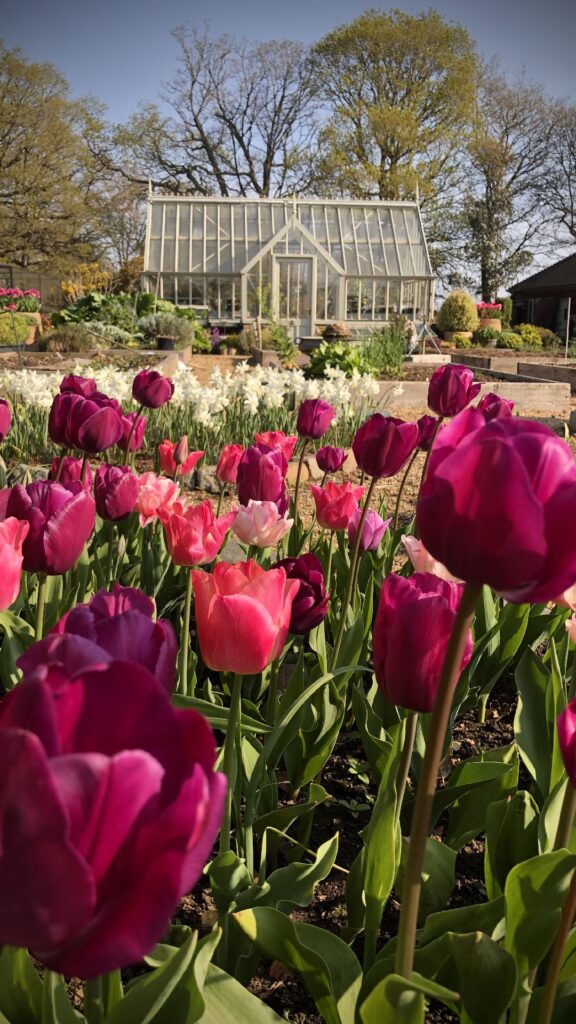 Plant Sourcing & Design – Landscape Design and Garden Project ...