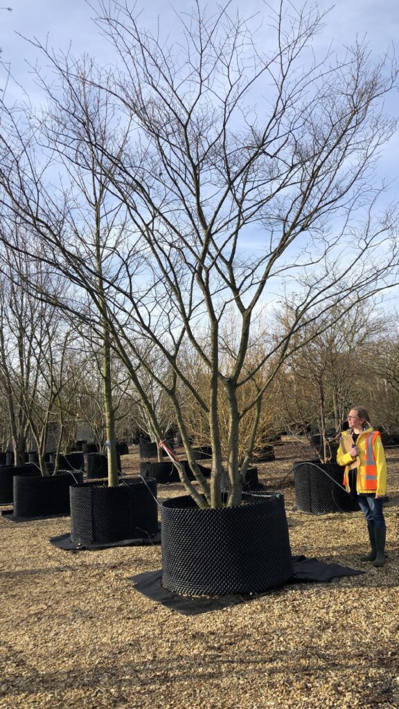 Plant Sourcing & Design – Landscape Design and Garden Project ...