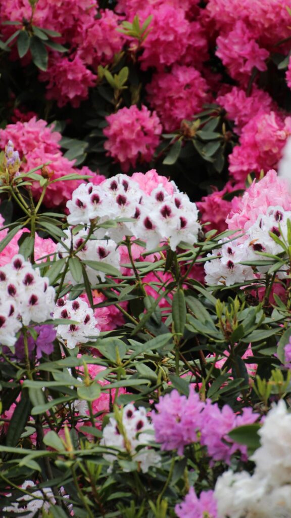 Plant Sourcing & Design – Landscape Design and Garden Project ...